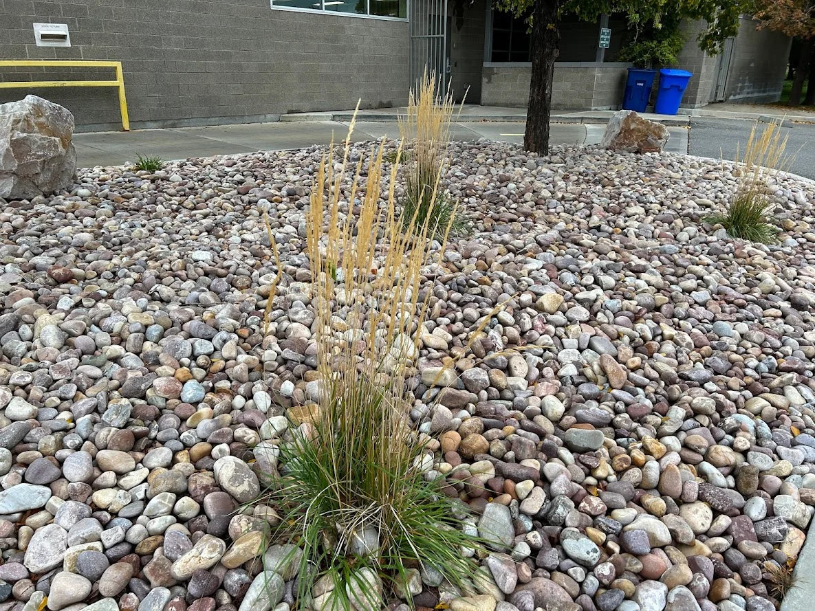 Santa Fe Cobble 2" - 4" — Granite Landscape Centers